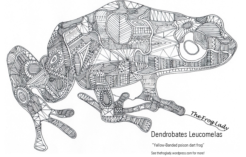 Leuc v2.0 doodle – The Frog Lady