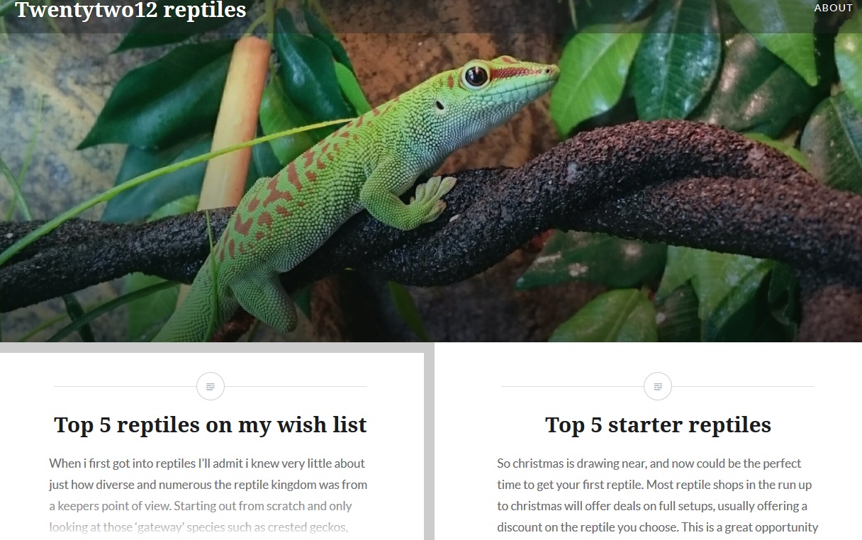 Amphibian & Reptile Blogs – The Frog Lady