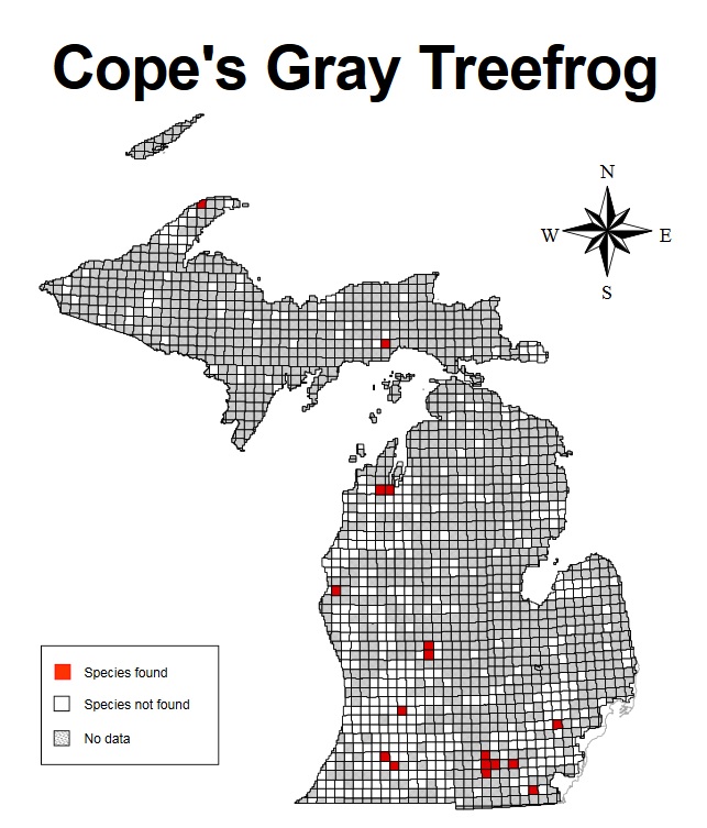 Michigan Frogs and Toads – The Frog Lady