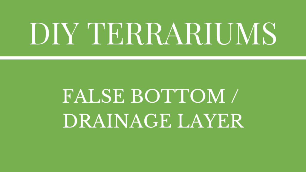 Terrarium Design & Construction – The Frog Lady