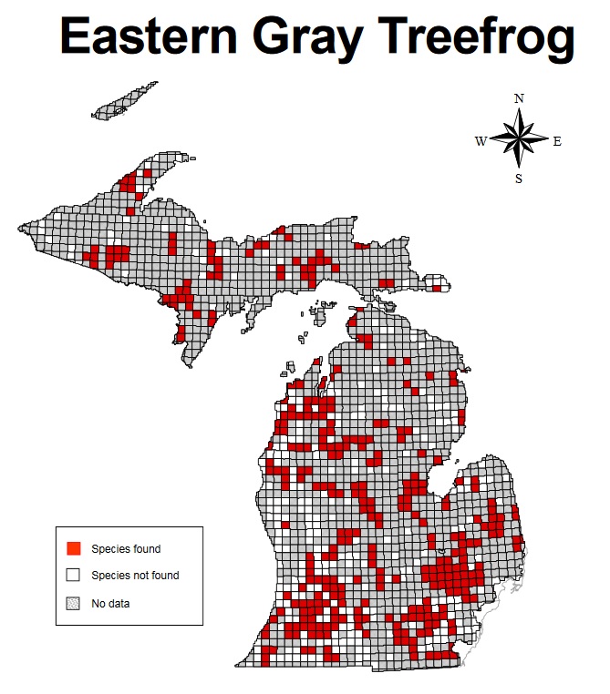 Michigan Frogs and Toads – The Frog Lady