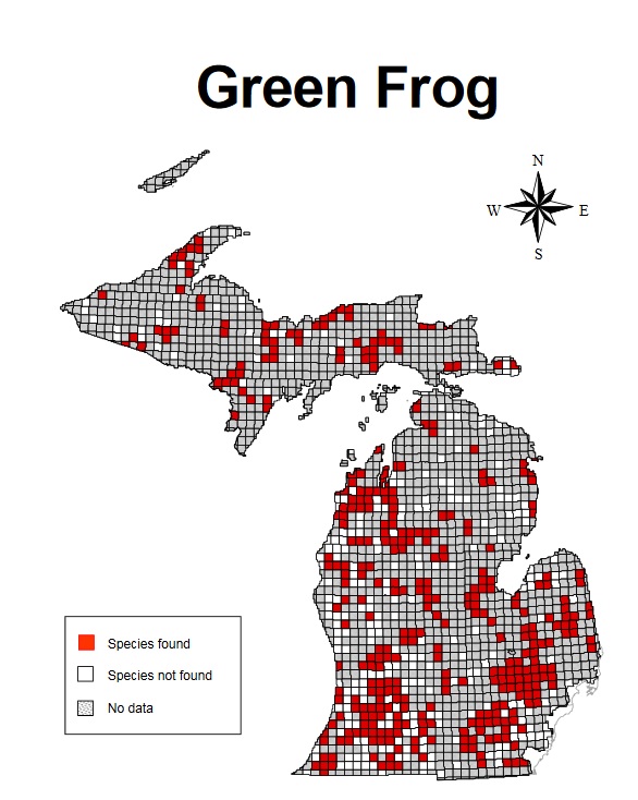 Michigan Frogs and Toads – The Frog Lady