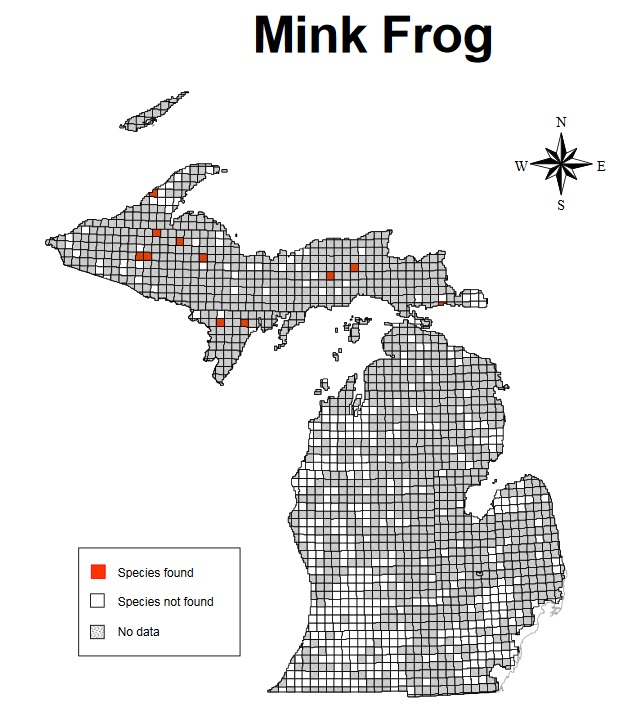 Michigan Frogs and Toads – The Frog Lady
