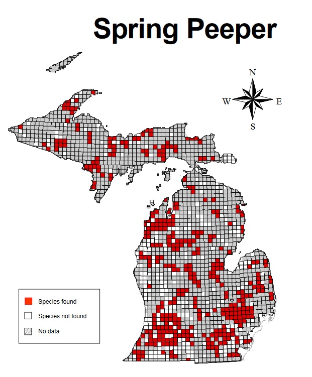 Michigan Frogs and Toads – The Frog Lady