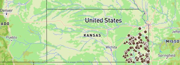 Kansas Frogs and Toads – The Frog Lady