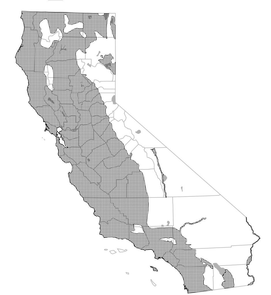 California Frogs and Toads – The Frog Lady