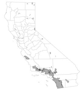 California Frogs and Toads – The Frog Lady