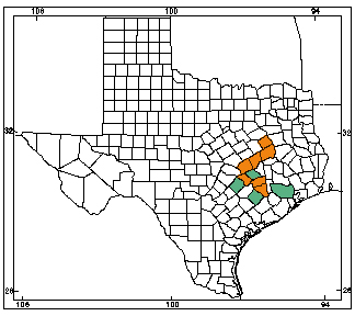 Texas Toads – The Frog Lady