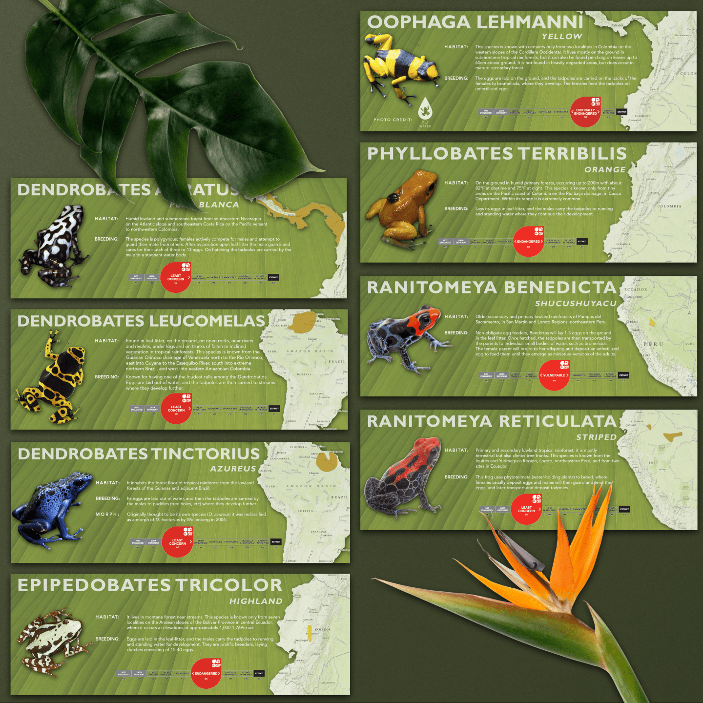 Terrarium Labels – Matt Marsee – The Frog Lady