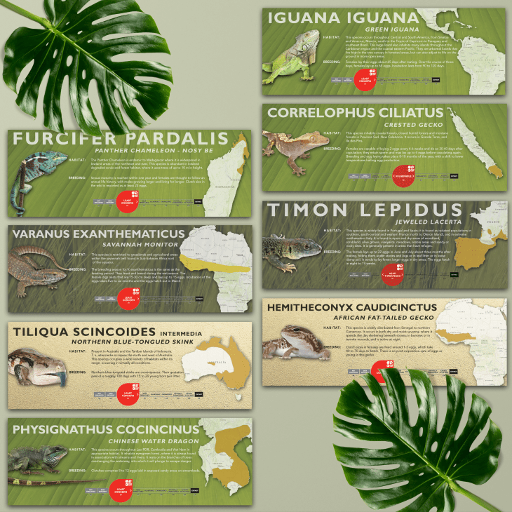 Terrarium Labels – Matt Marsee – The Frog Lady