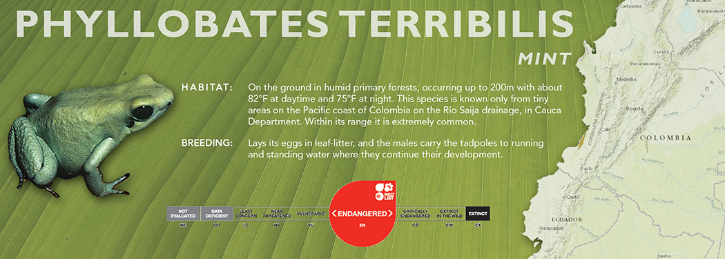 Terrarium Labels – Matt Marsee – The Frog Lady