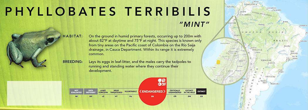 Terrarium Labels – Matt Marsee – The Frog Lady