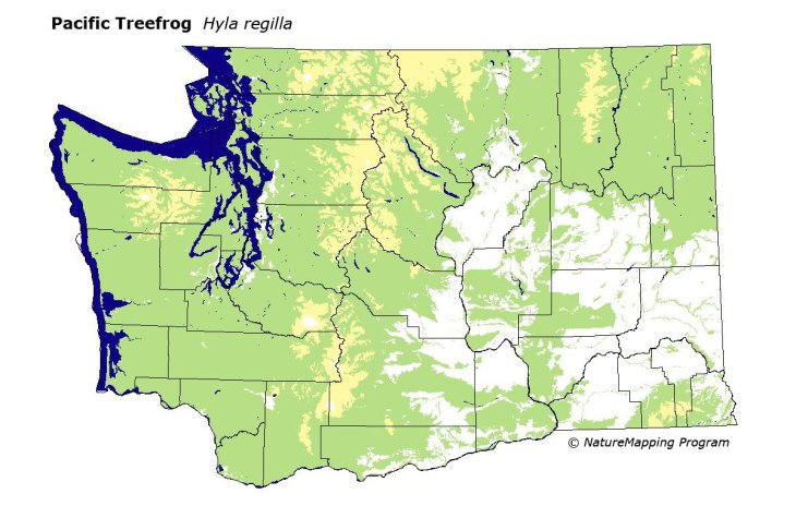 Washington Frogs and Toads – The Frog Lady