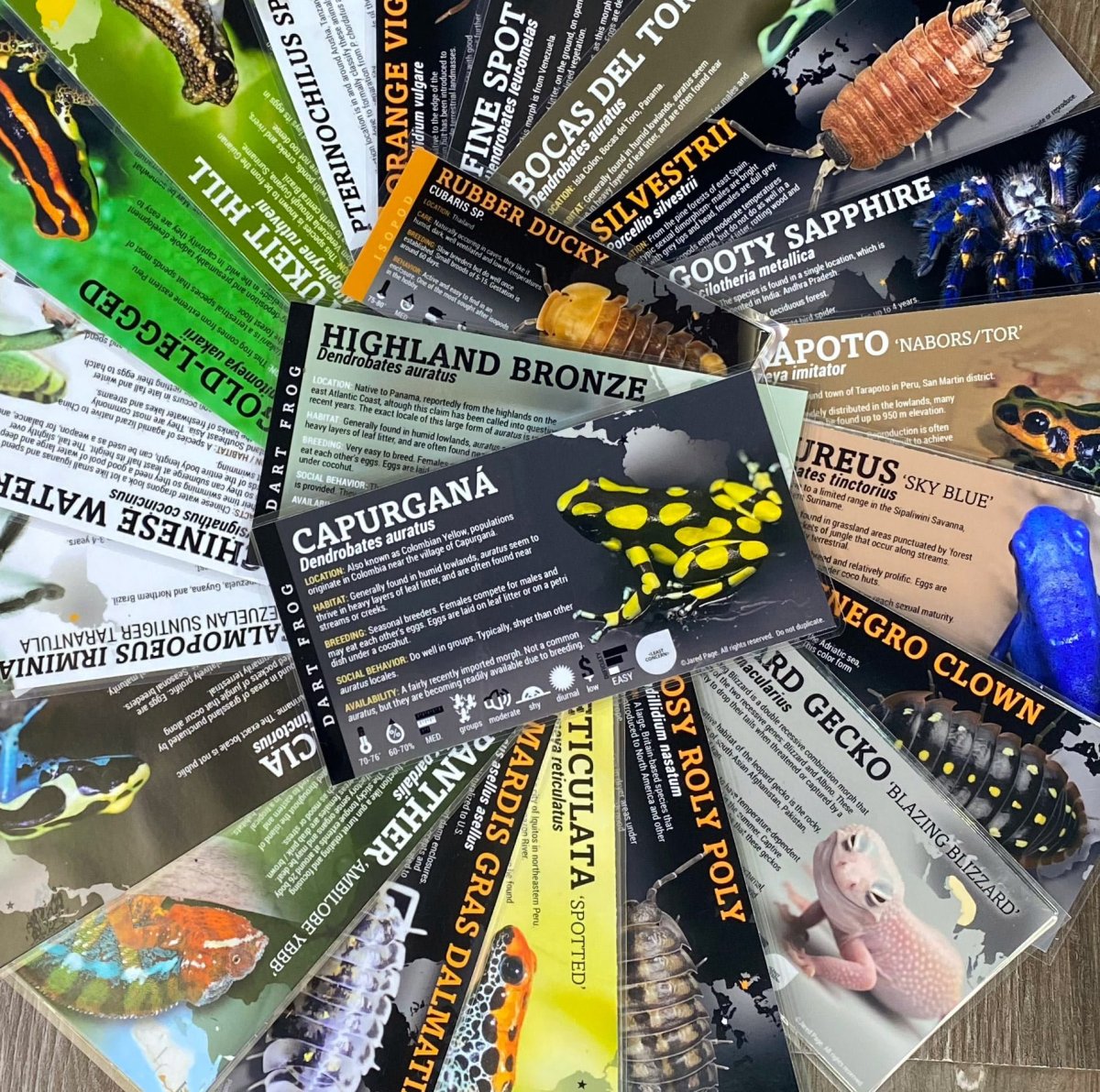 Terrarium Labels – The Frog Lady