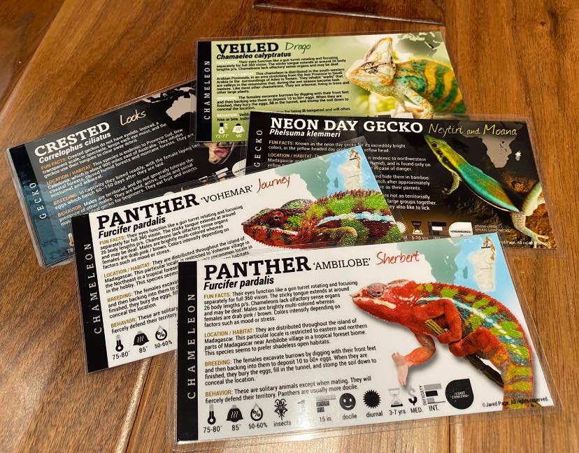 Terrarium Labels – The Frog Lady